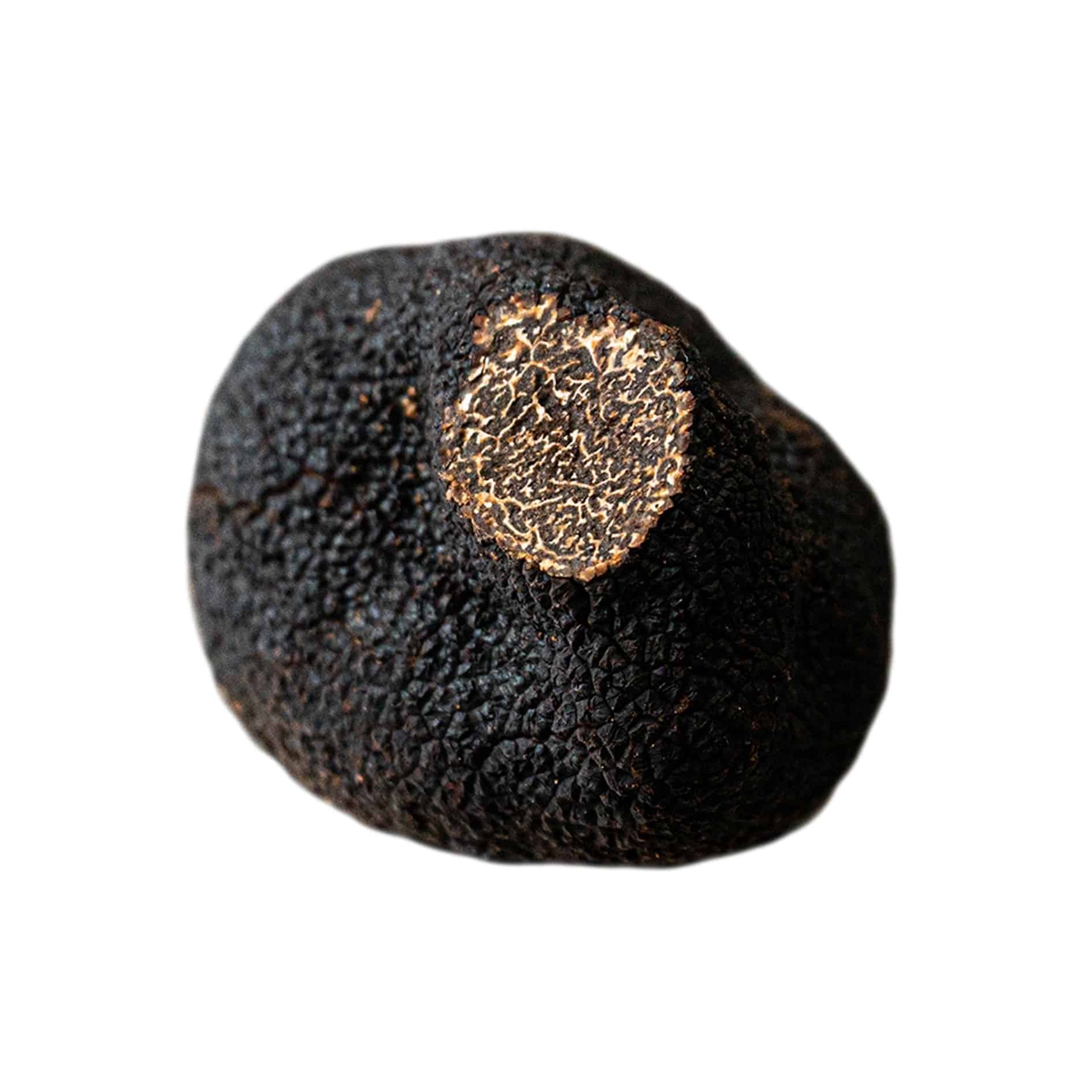 Hvor kan man finde trøfler? Findes de også i Danmark?